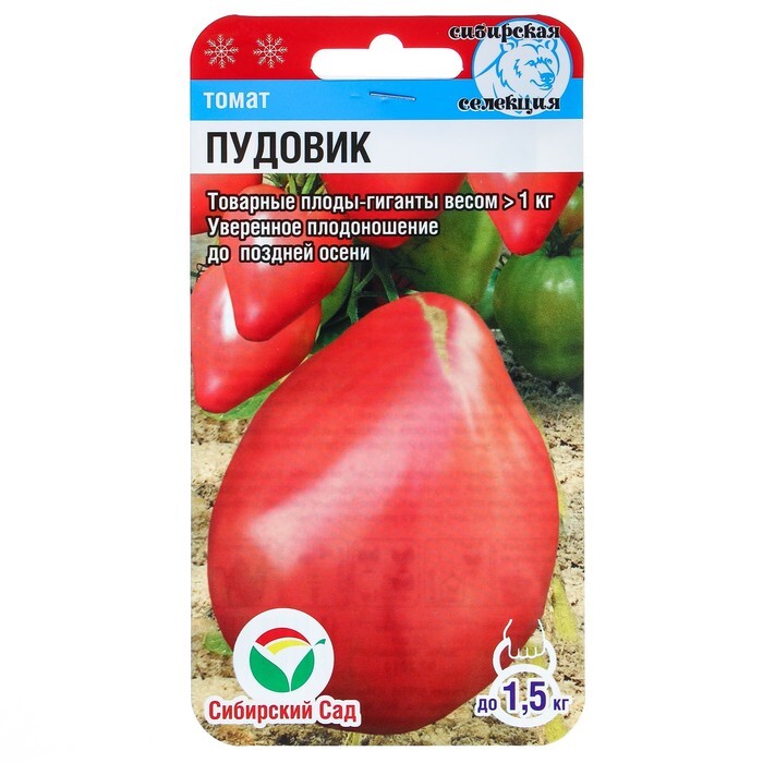 Томат Пудовик Описание И Фото – Telegraph