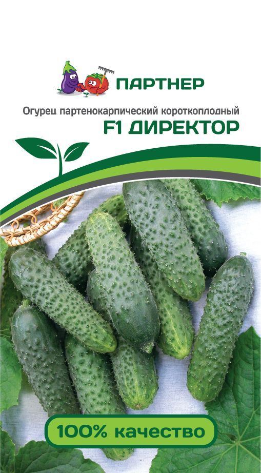 Огурцы Гуннар Описание Сорта Фото Отзывы Цена — Картинки фотографии
