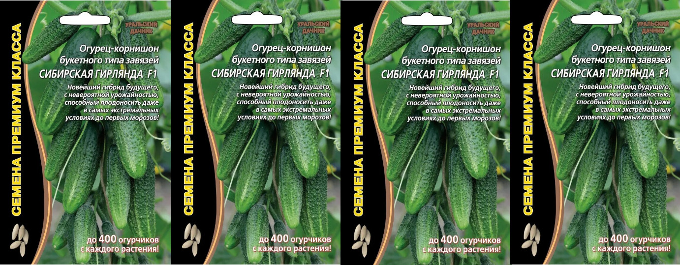 Сибирская Гирлянда Огурцы Отзывы Фото — Картинки фотографии