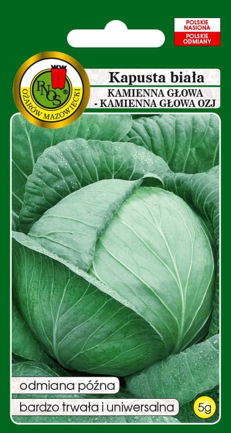 Каменная Голова Капуста Описание Фото Отзывы – Telegraph