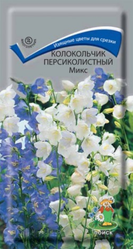 Семена Колокольчиков Фото — Картинки фотографии