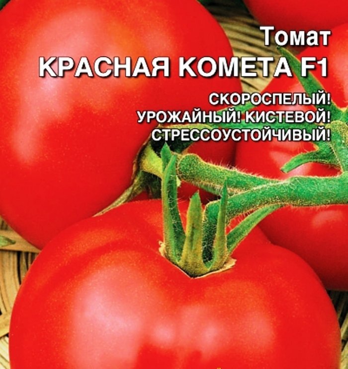 Томат Санрайз Отзывы Фото – Telegraph