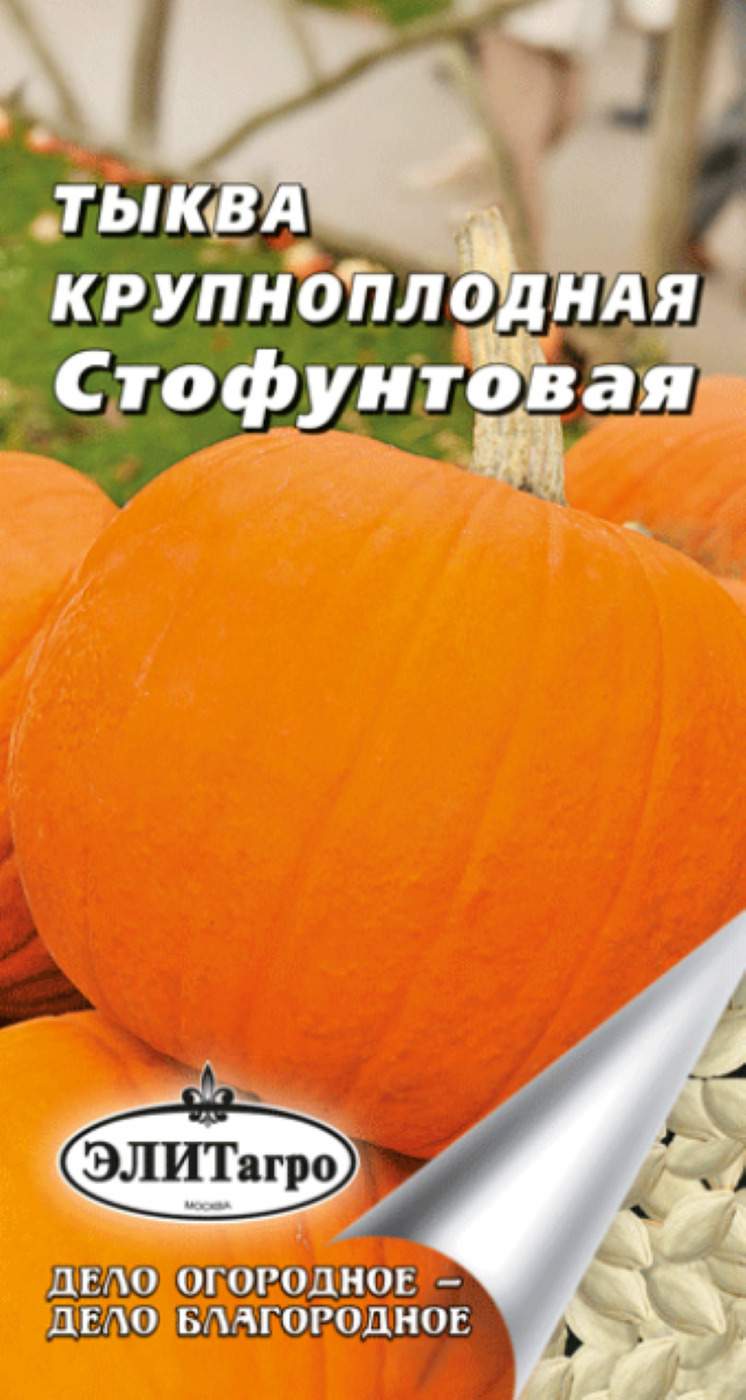 Тыква Атлант Описание И Фото – Telegraph