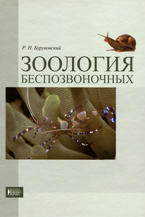 Книга "Зоология беспозвоночных" – купить книгу ISBN 978-5-903090-40-2 с ...