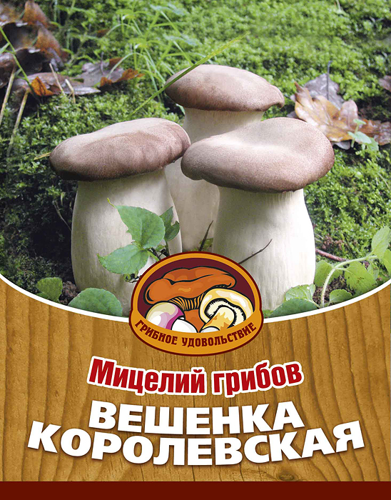Мицелий грибов "Вешенка королевская", 16 древесных палочек - купить по ...
