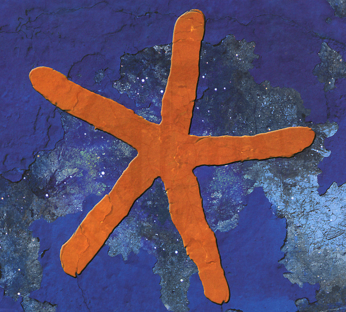 Fish. 13th Star - купить по низким ценам в интернет-магазине OZON