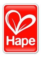 Hape — купить товары Hape на OZON