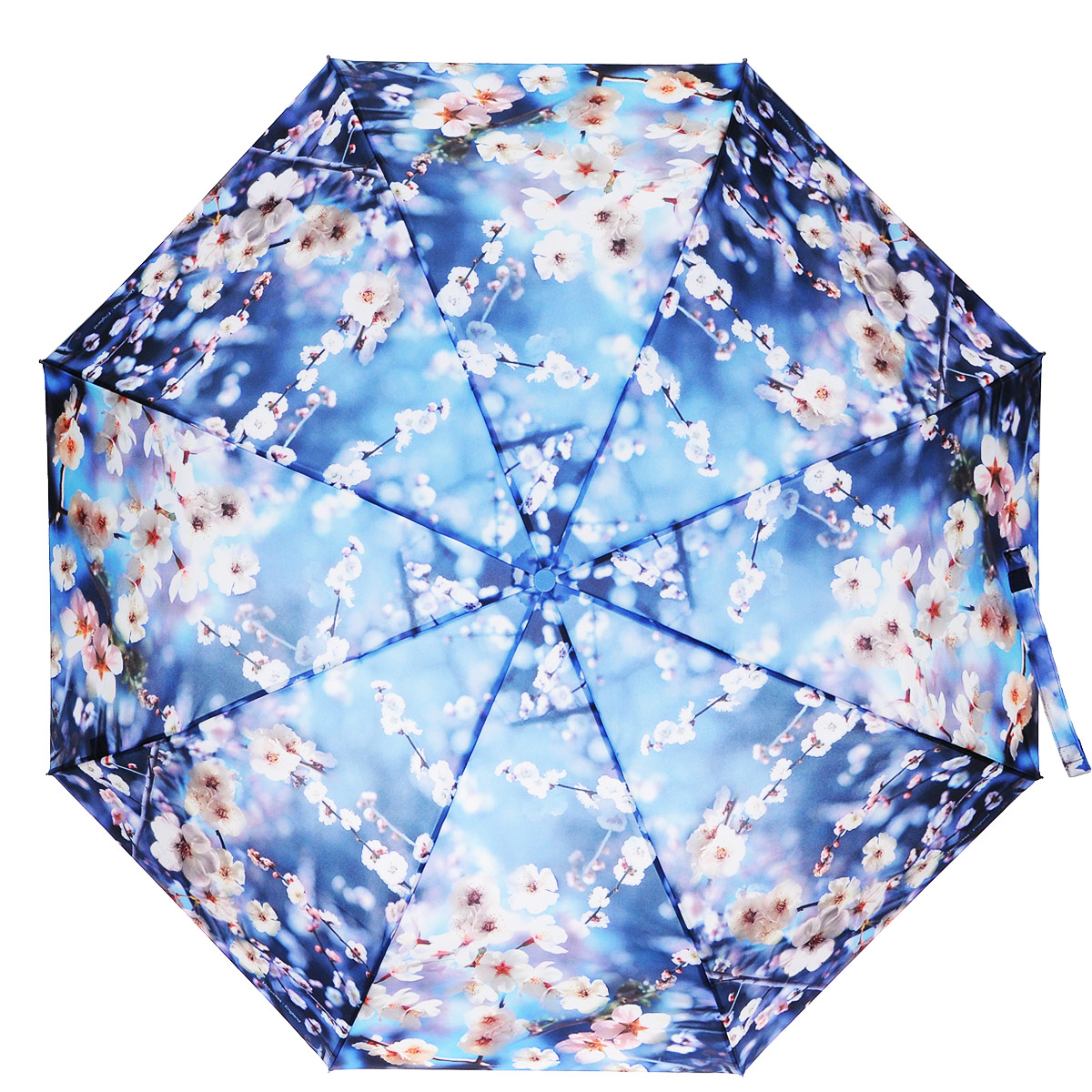 Зонт Zest — купить в интернет-магазине OZON с быстрой доставкой