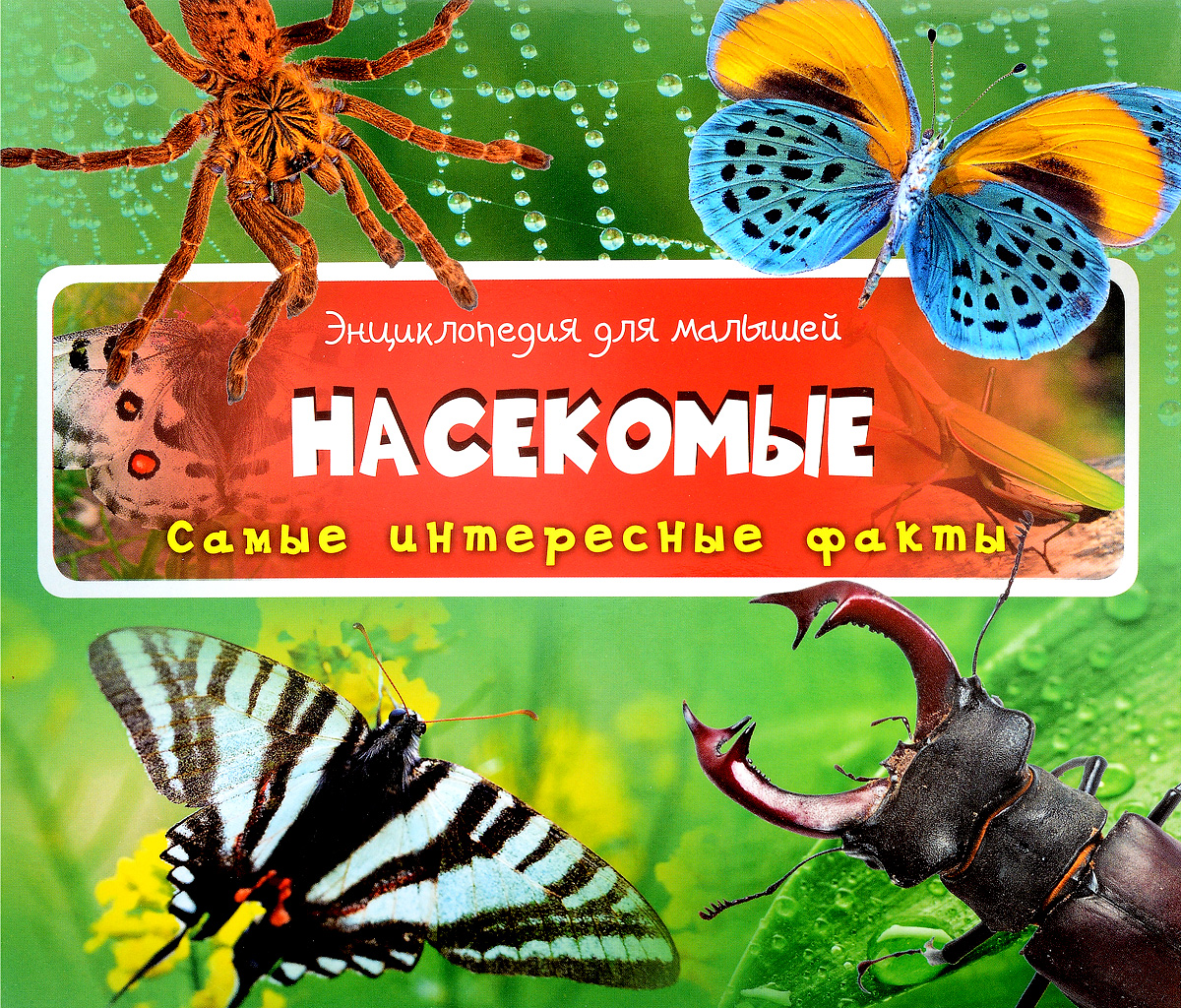 Книга "Насекомые" – купить книгу ISBN 978-617-7269-60-0 с быстрой ...
