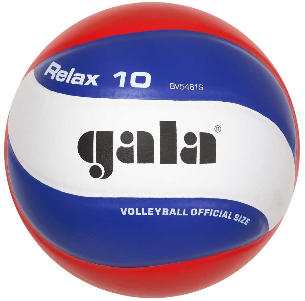 Мяч волейбольный GALA Мяч волейбольный Gala Relax, цвет: белый, синий ...