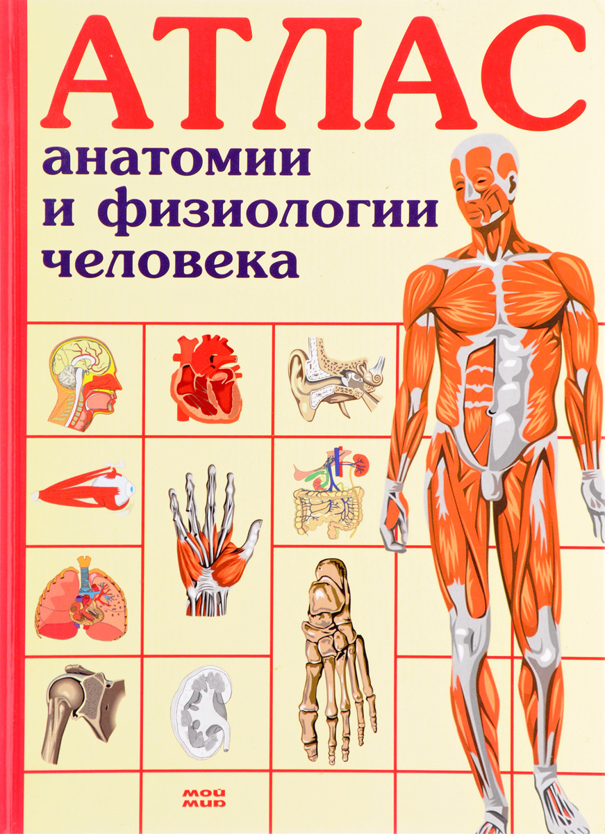 Книга "Атлас анатомии и физиологии человека" – купить книгу ISBN 3 ...