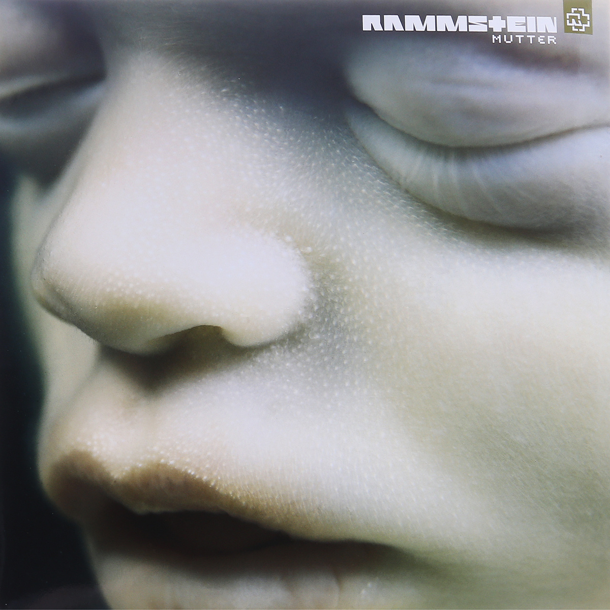 Rammstein. Mutter (2 LP) — купить в интернет-магазине OZON с быстрой ...