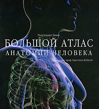 Большой атлас анатомии человека - купить с доставкой по выгодным ценам ...