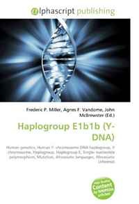 Haplogroup E1b1b (Y-DNA): Human genetics, Human Y- chromosome DNA ...