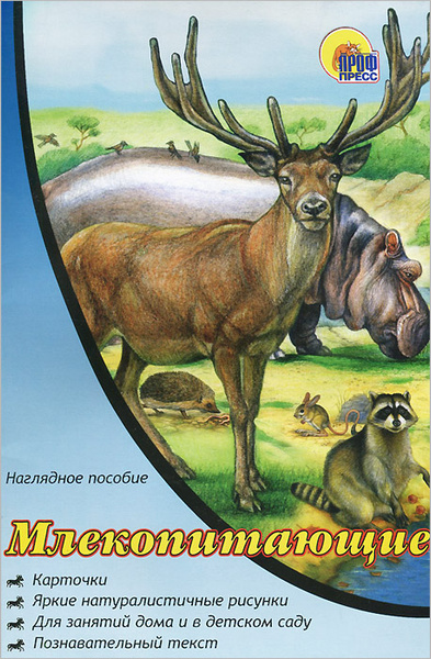 Млекопитающие. Наглядное пособие - купить с доставкой по выгодным ценам ...