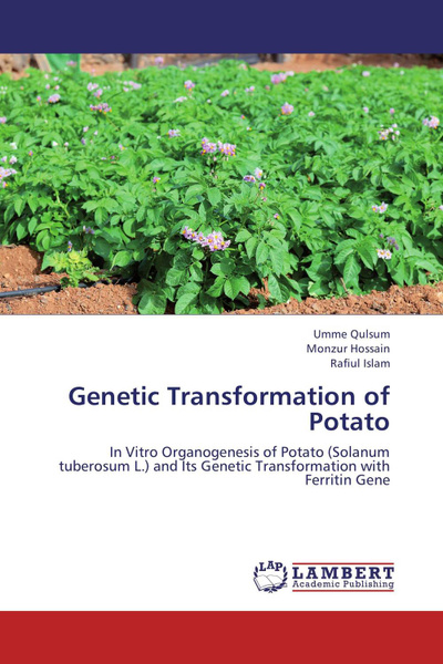 Genetic Transformation of Potato - купить с доставкой по выгодным ценам ...