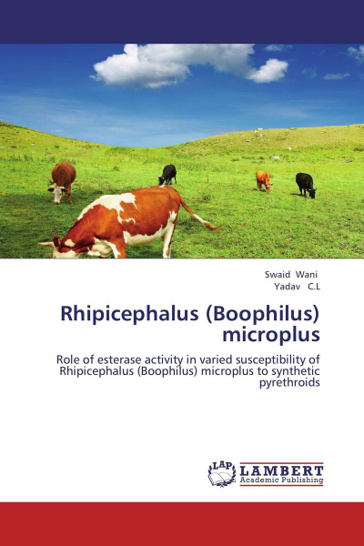 Rhipicephalus (Boophilus) microplus - купить с доставкой по выгодным ...