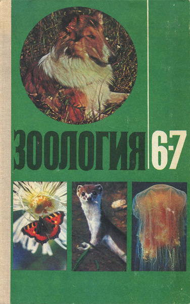 Зоология. 6-7 класс. Учебник | Преображенская В. И., Наумов Донат ...