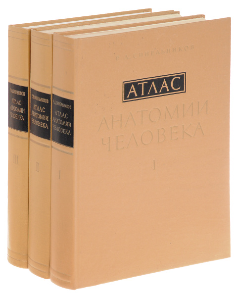 Атлас анатомии человека. В 3 томах (комплект) | Синельников Рафаил ...