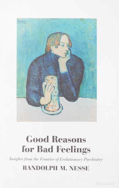 Good Reasons for Bad Feelings: Insights from the Frontier of ...