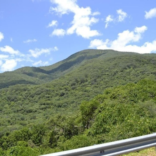 Zakinn Hotel Gangilonga Iringa 3*, (Иринга) , цены на номера от 3500 ...