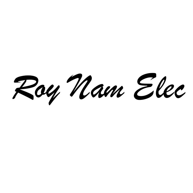 Roy Nam Elec — купить товары Roy Nam Elec в интернет-магазине OZON