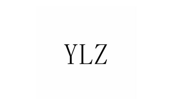 YLZ — купить товары YLZ в интернет-магазине OZON