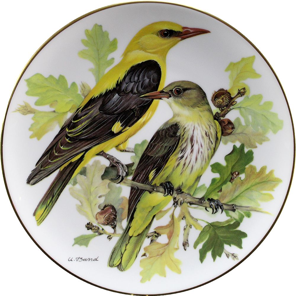 Урсула Банд – купить в интернет-магазине OZON по низкой цене