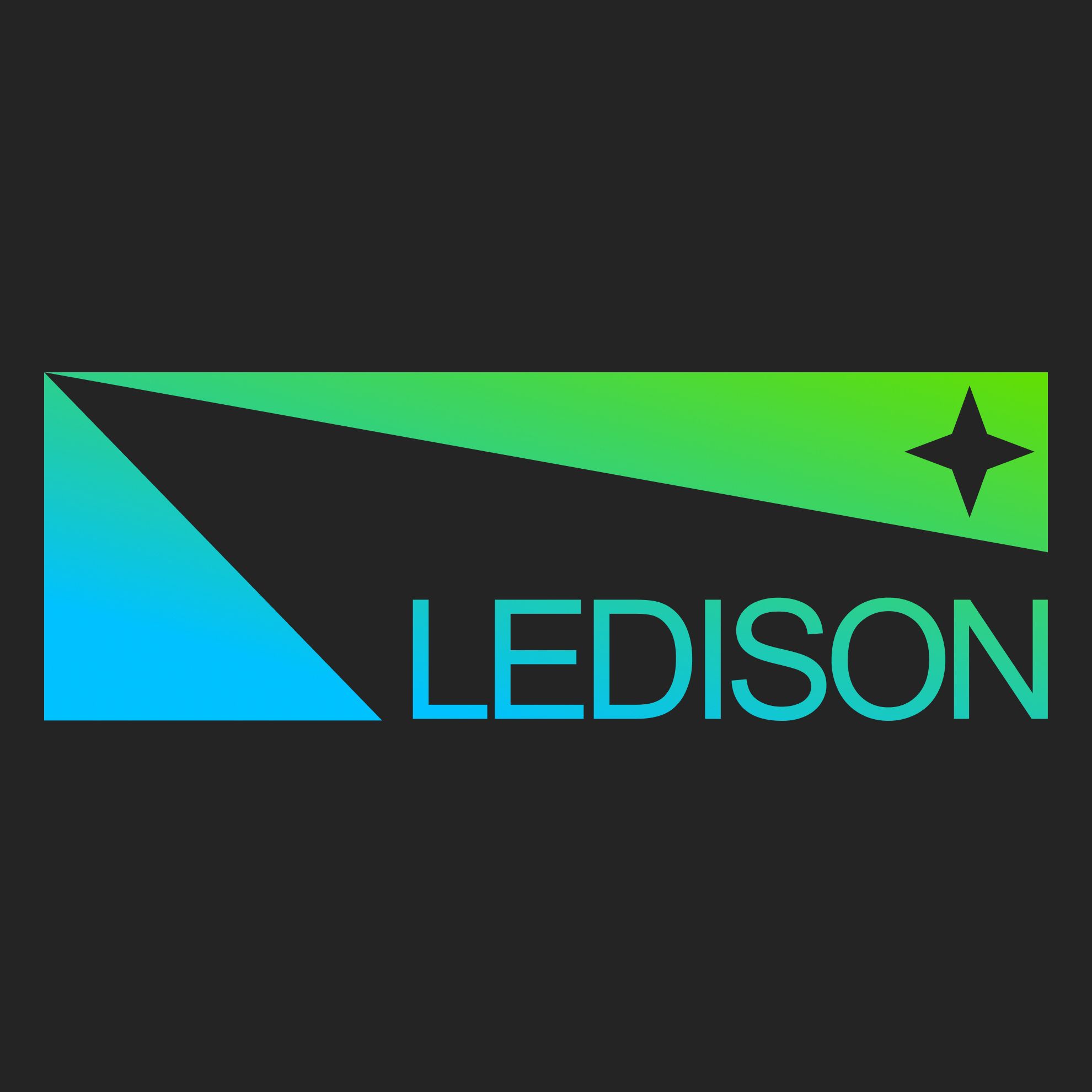 Ledison — купить товары Ledison в интернет-магазине OZON