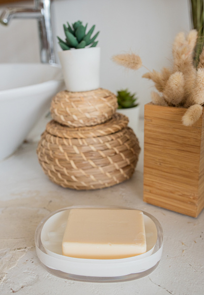 Мыльница Proffi Home - купить по выгодным ценам в интернет-магазине OZON (238402467)