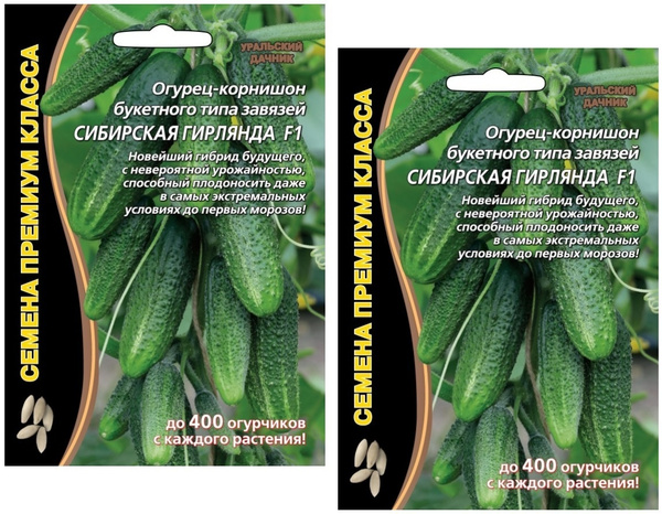 Огурцы Уральский дачник Сибирская гирлянда УД_SibGirlUD2 - купить по ...