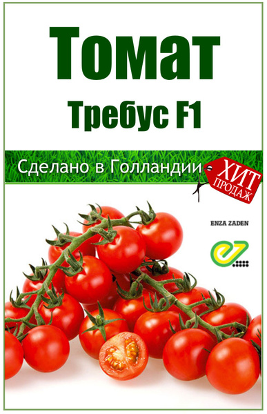 Enza Zaden Томат Черри Требус - купить по выгодным ценам в интернет ...