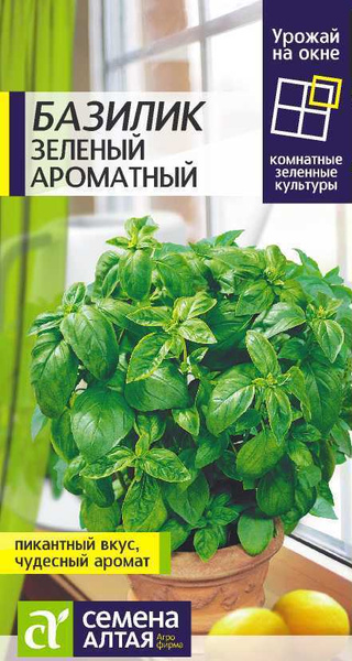 Базилик Семена Алтая Базилик - купить по выгодным ценам в интернет ...