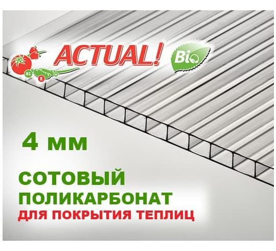 Поликарбонат покрытие для теплиц АКТУАЛЬ!Bio, 2100x6000x4 мм, 2 листа ...
