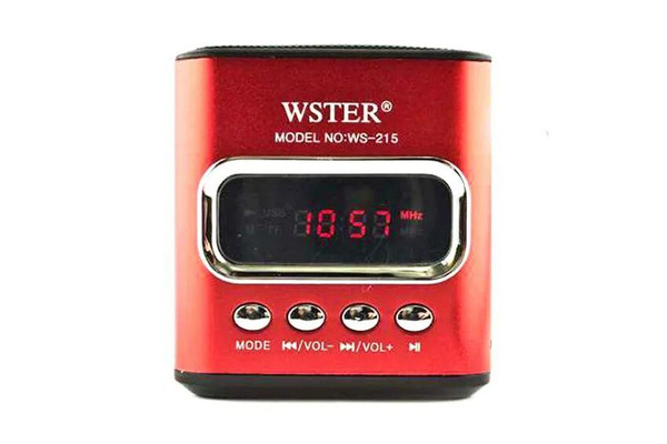 Беспроводная колонка WSTER ws-215 - купить по доступным ценам в интернет-магазине OZON (860863994)