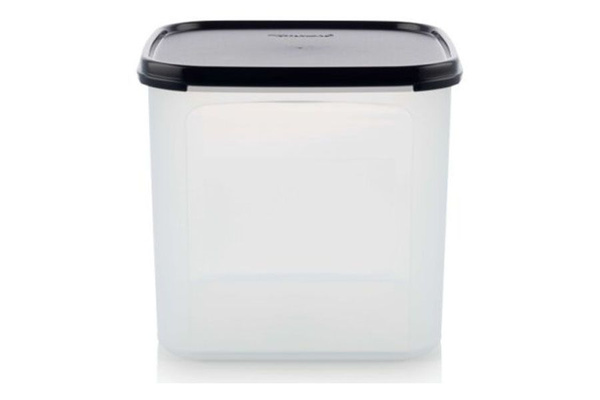 Контейнер пищевой Tupperware, 180x180x170, объем 4000 мл - купить по выгодной цене в интернет ...