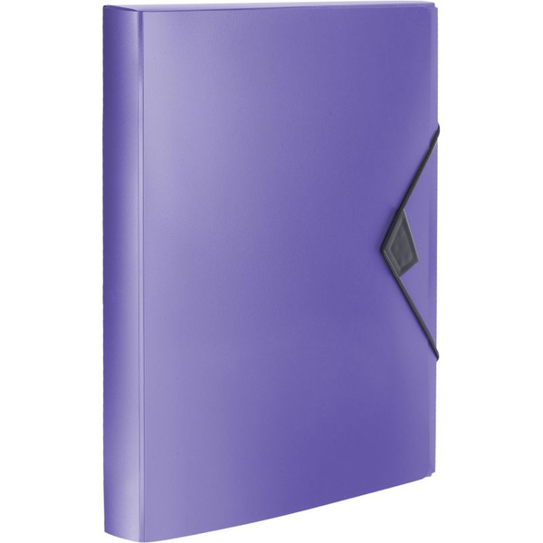 Attache Папка архивная A4 (21 × 29.7 см), 1 шт. купить на OZON по низкой цене (1456868176)