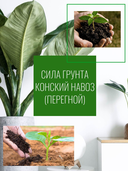 Удобрение для растений цветов саженцев, 10 литров, перегной навоза ...
