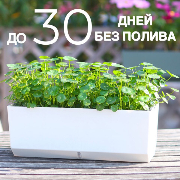 Горшок для цветов, кашпо с автополивом, горшок длинный пластиковый ...