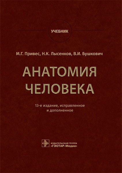 Книга: "Анатомия человека". Учебник для студента мед вуза: Как устроено ...