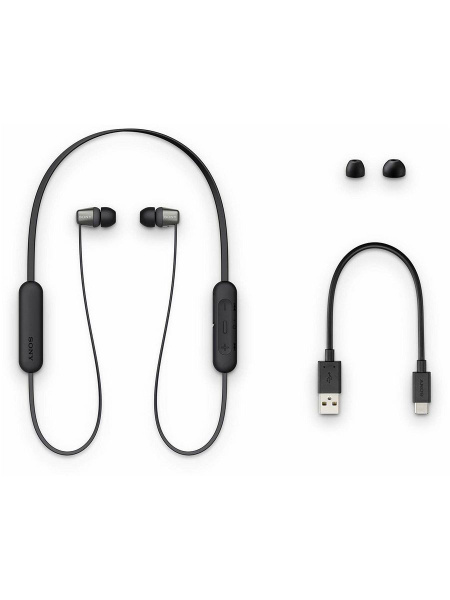 Наушники Внутриканальные Sony WI-C310 Black - купить по доступным ценам ...