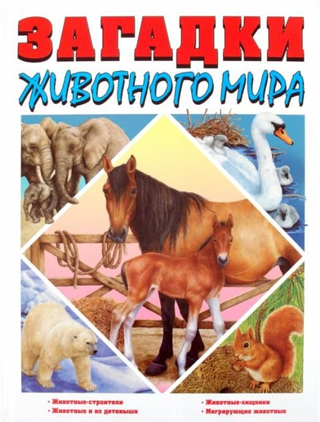 Загадки животного мира | Барзотти Элеонора - купить с доставкой по ...