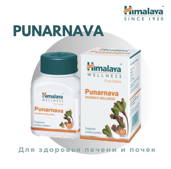 Экстракт растений Пунарнава (Punarnava) Himalaya/ 60 таблеток - купить ...