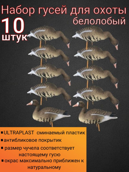 Oscar decoys Чучело купить на OZON по низкой цене (1708231207)