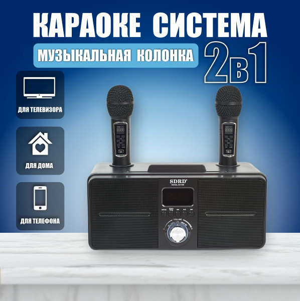 Караоке система для дома с беспроводными микрофонами SDRD SD-309 ...