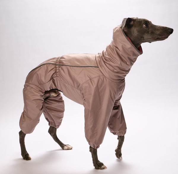 WOOFLER / Зимний комбинезон для собак мелких средних пород уиппет ...