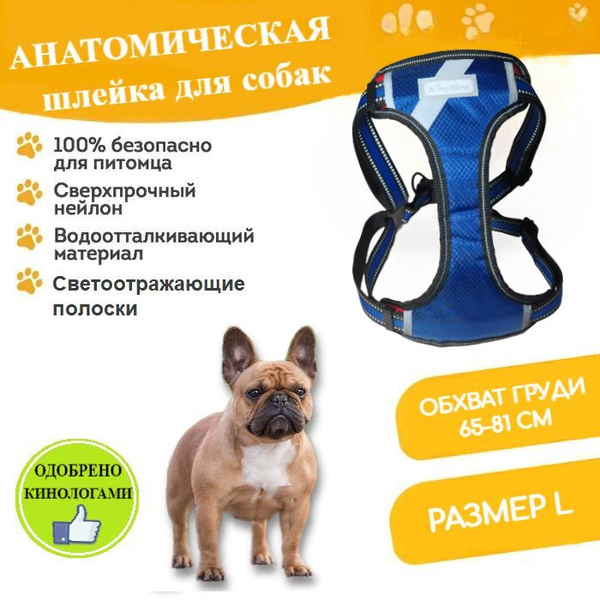 Шлейка для собак средних и крупных пород Xing Ning анатомическая обхват ...