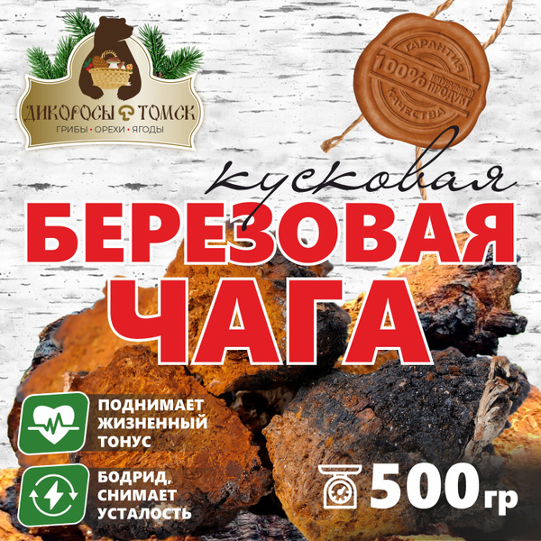 Чага берёзовая натуральная сибирская (кусковая) 500 гр. - купить с ...