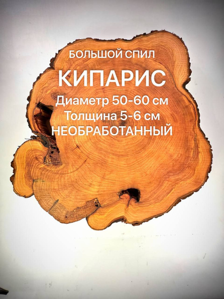Большой спил дерева Кипарис 50-60 см 1шт - купить с доставкой по ...