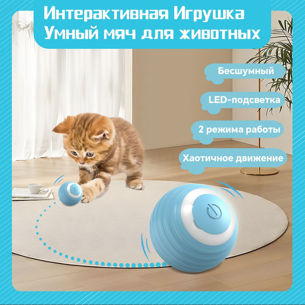 Интерактивный мяч для кошек - купить с доставкой по выгодным ценам в ...